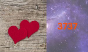 3737 Angel Number: Spiritual Meaning, Numerology, Love, Money