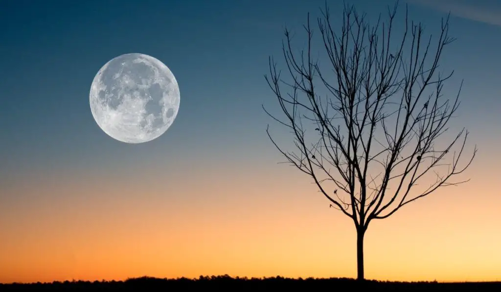 Tonight's Moon Spiritual Meaning: Unlocking the Mysteries - Spiritual Awakening Talk
